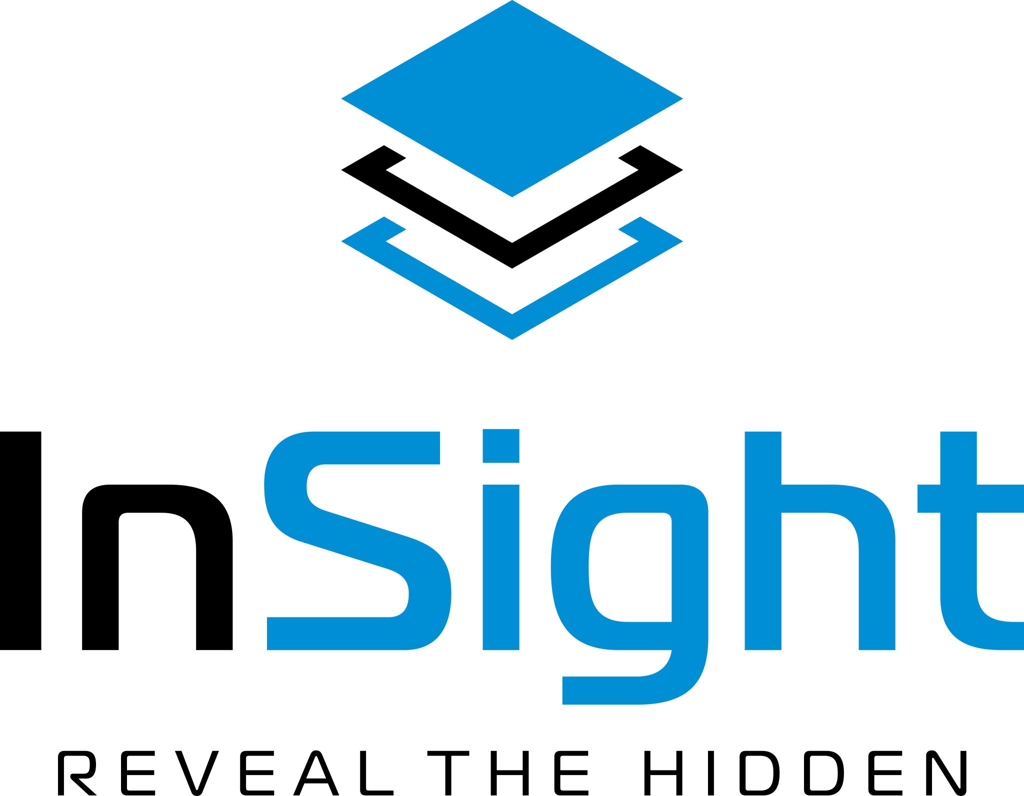 InSight: Digital Inspection Tool - Sentini Marine